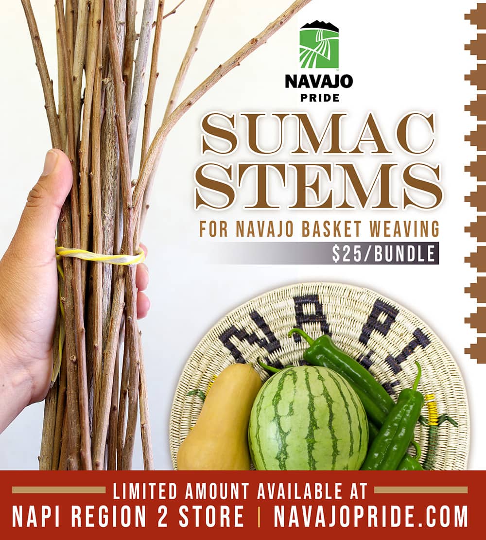 Sumac Stems Now Available – 01/13/21 – Navajo Agricultural Products ...