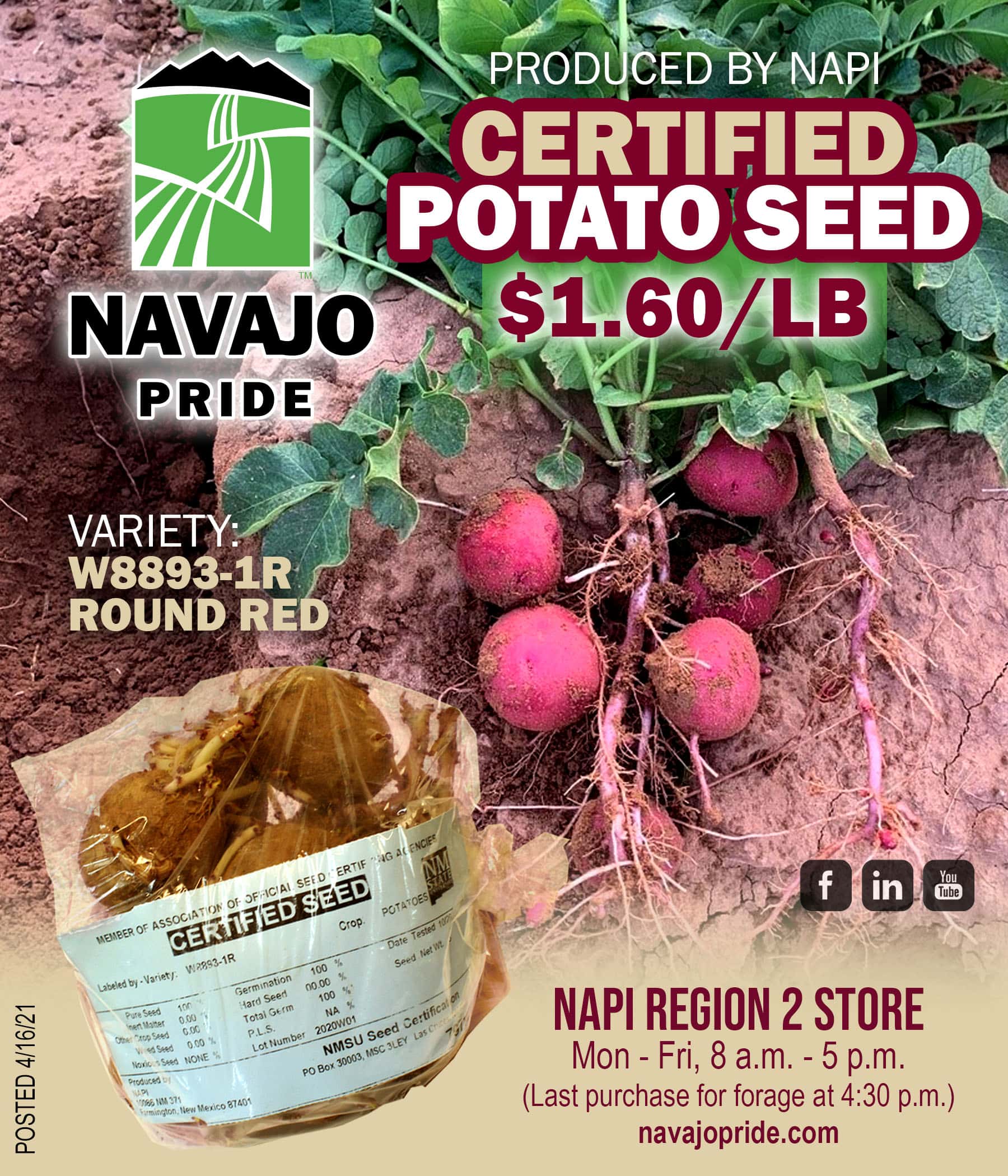 Navajo Pride Certified Potato Seed – Navajo Agricultural Products Industry