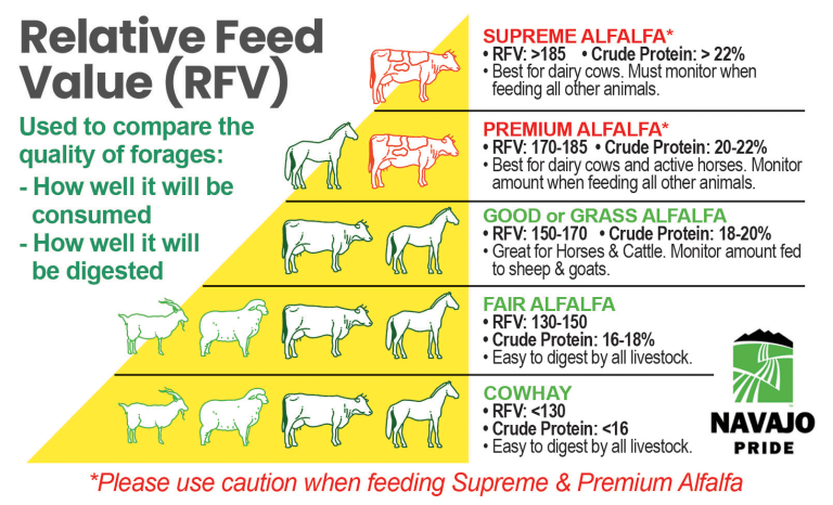 Region 2 Store – Navajo Agricultural Products Industry